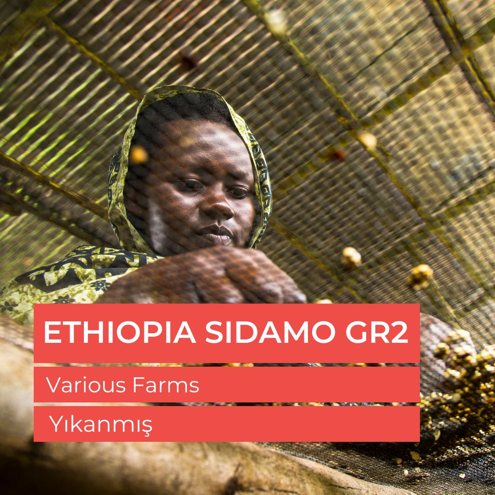 Ethiopia Sidamo Grade 2 - Çiğ Yeşil Kahve Çekirdek 1kg