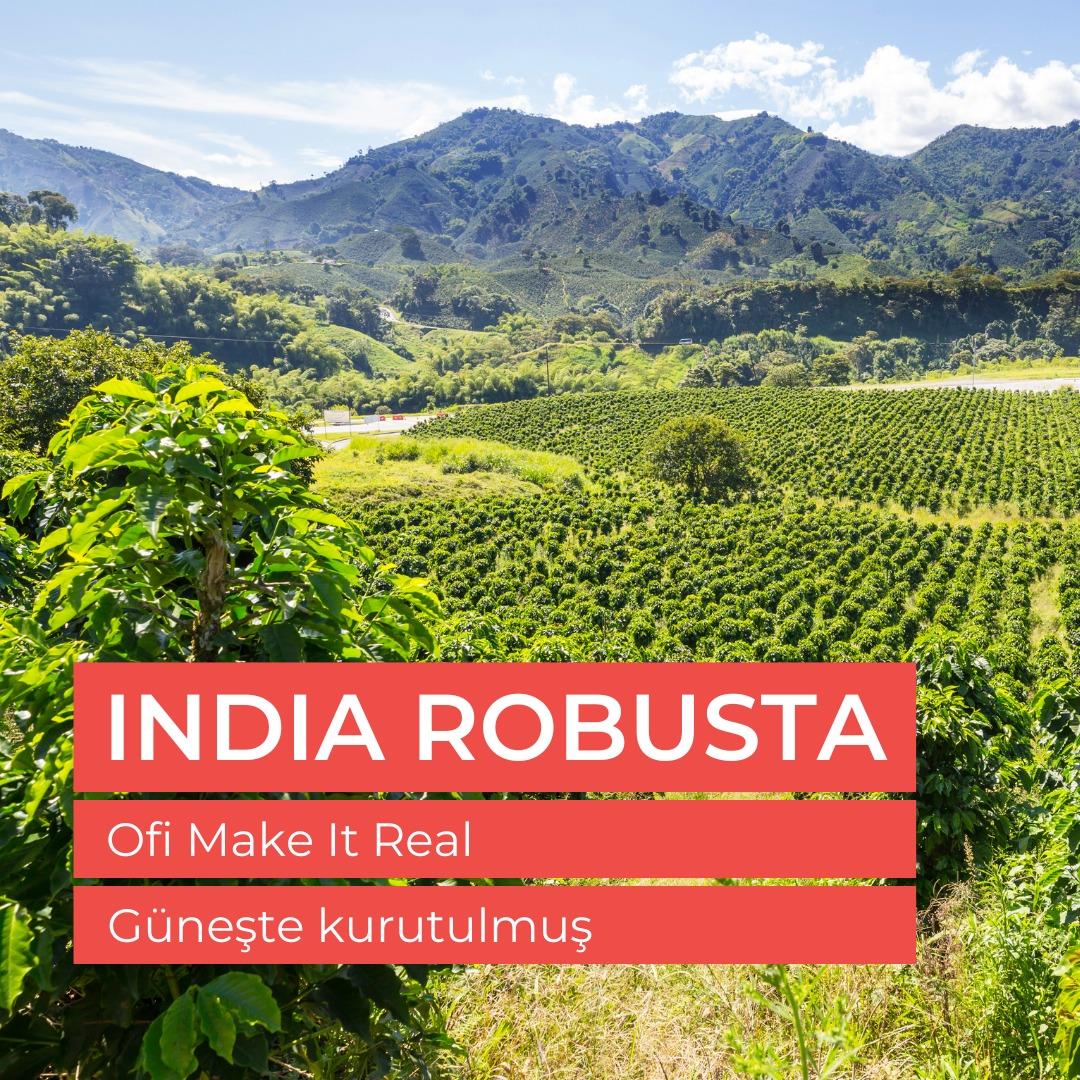 India Robusta Çiğ Yeşil Kahve Çekirdek 1kg